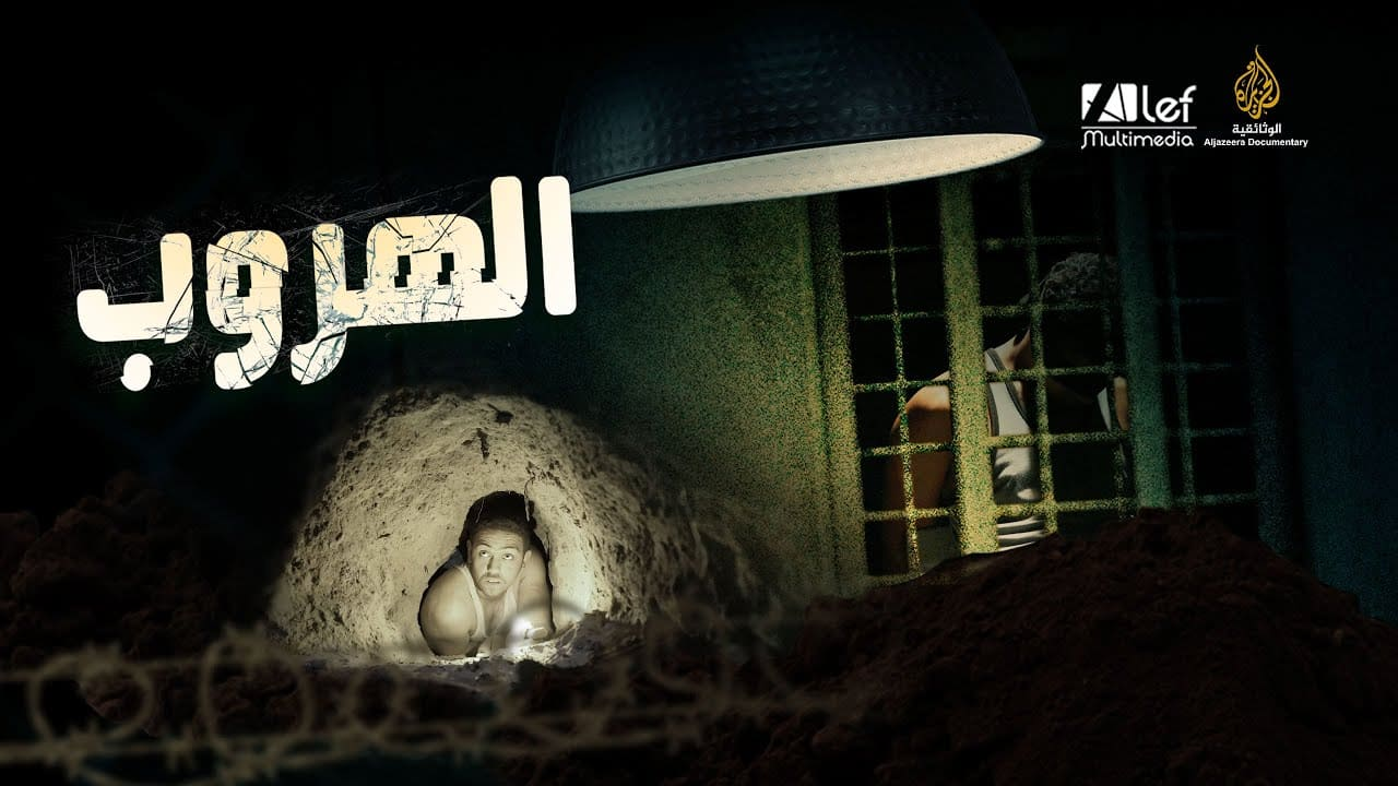 Alef Multimedia for media production | Home